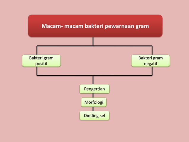 Pewarnaan gram | PPTX