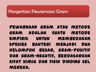 Pewarnaan gram | PPTX