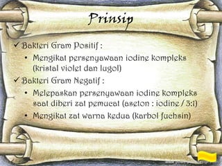 Pewarnaan Gram Metode Preston dan Morrel | PPSX