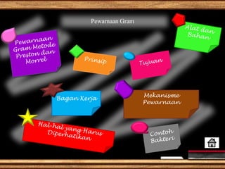 Pewarnaan Gram Metode Preston dan Morrel | PPSX