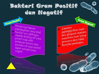 Pewarnaan Gram Metode Preston dan Morrel | PPSX