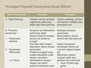 Pewarnaan gram KD 1 Materi 1 ANALISI MIKROBIOLOGI_XI APL.pptx