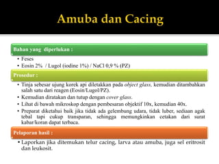 Pewarnaan parasit dan jamur | PPTX