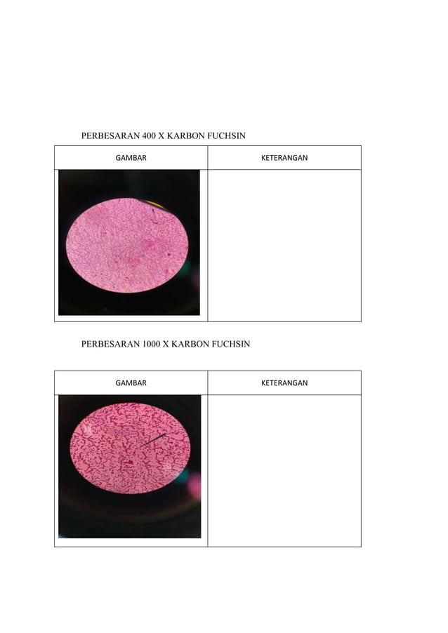 PEWARNAAN SEDERHANA.docx