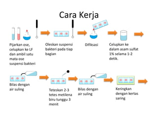 Mikrobiologi - Pewarnaan spora | PPTX