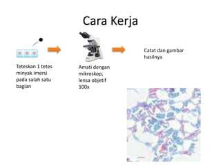 Mikrobiologi - Pewarnaan spora | PPTX