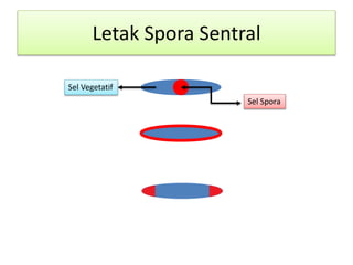 Mikrobiologi - Pewarnaan spora | PPTX