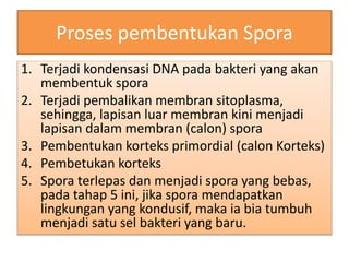 Mikrobiologi - Pewarnaan spora | PPTX