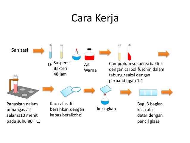 Mikrobiologi Pewarnaan Spora