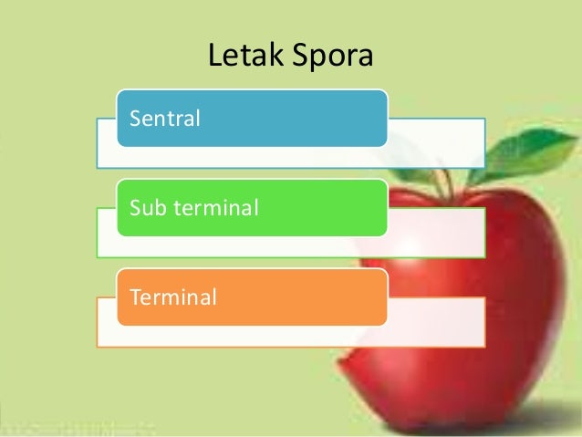 Mikrobiologi - Pewarnaan spora