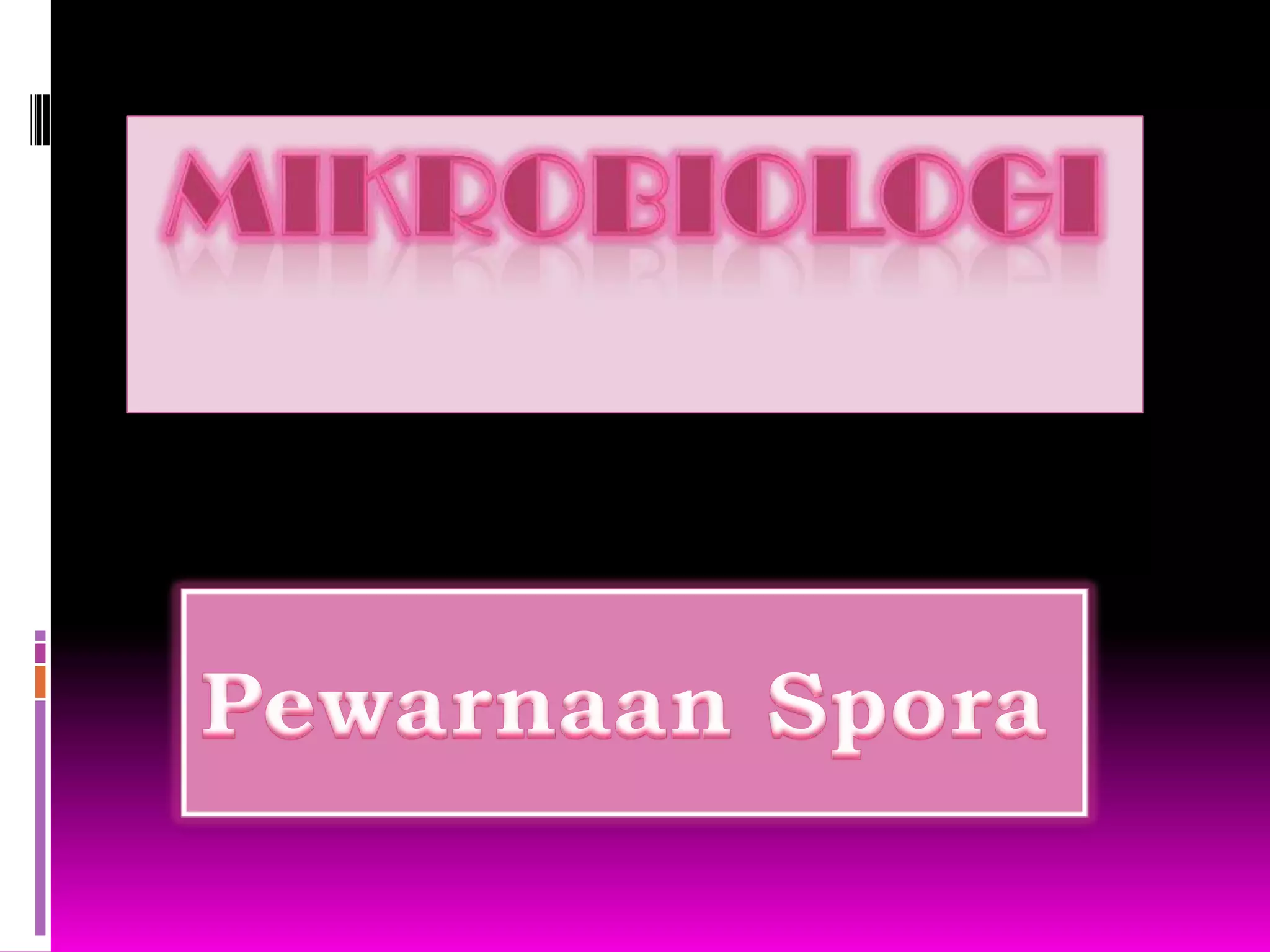 Pewarnaan spora pada bakteri kelas 11.5 | PPTX