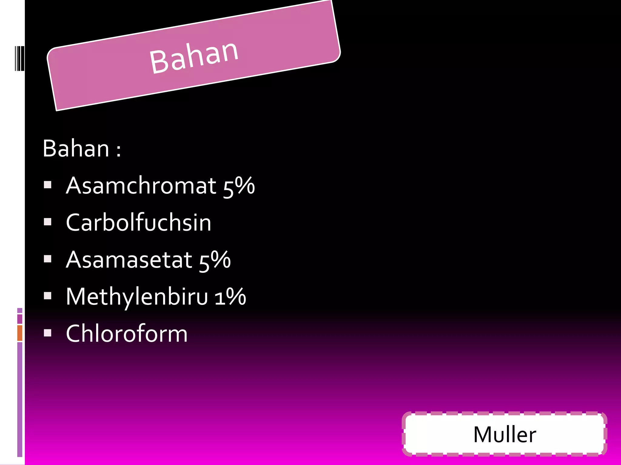 Pewarnaan spora pada bakteri kelas 11.5 | PPTX