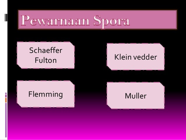 Pewarnaan spora pada bakteri kelas 11.5