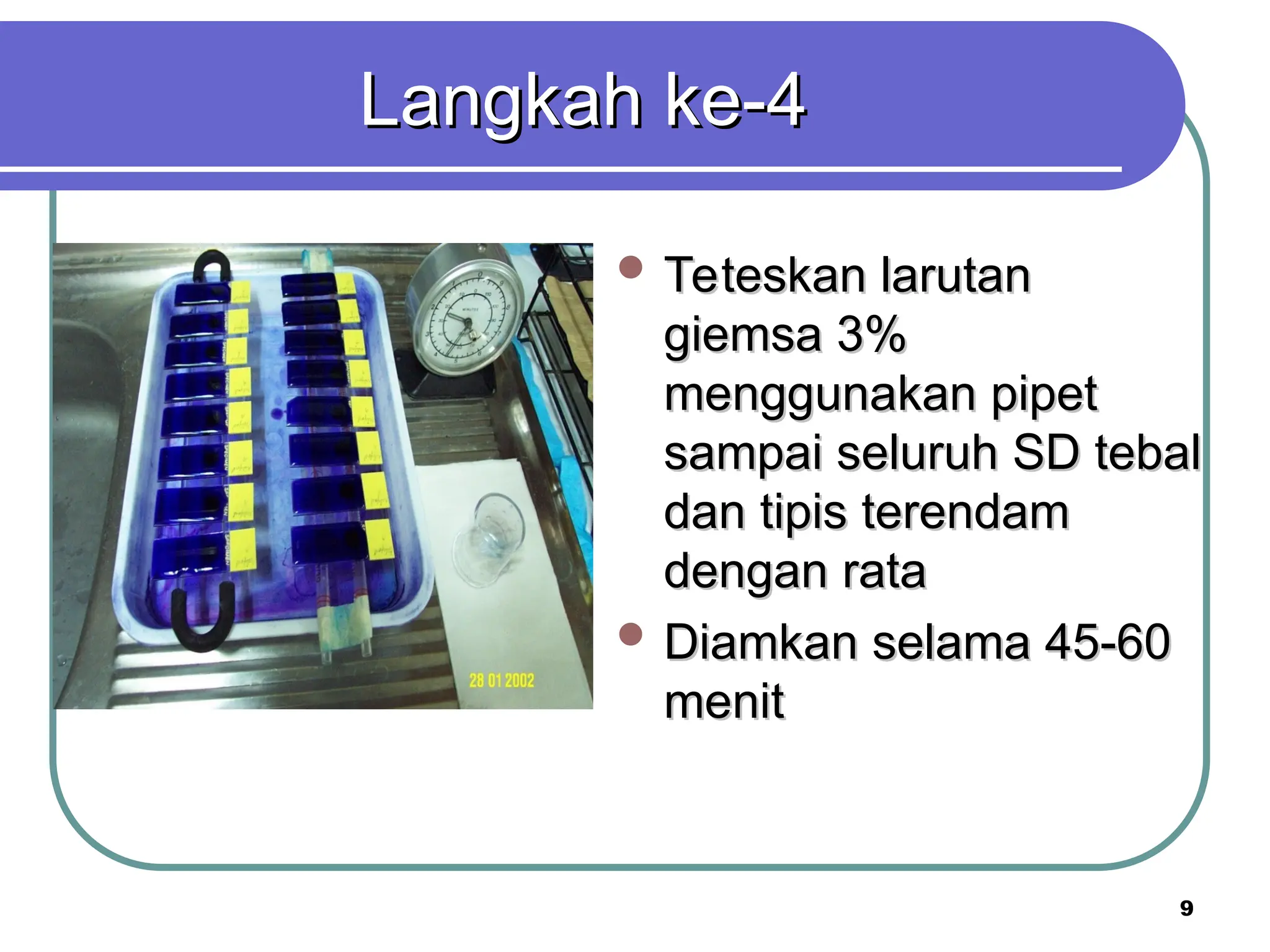 Bagaimana Pewranaan Sediaan Darah Malaria | PPT