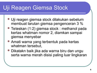 Bagaimana Pewranaan Sediaan Darah Malaria | PPT