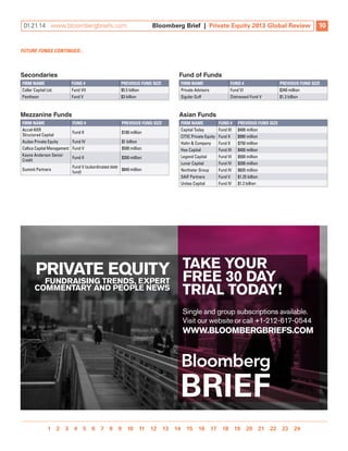 Private Equity 20134 Year End Review | PDF