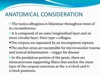 Peyronies disease | PPTX