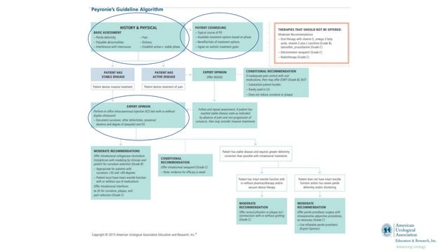 Peyronies disease: diagnostic | PPTX