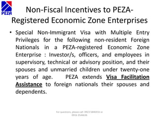 Peza overview v2 | PDF