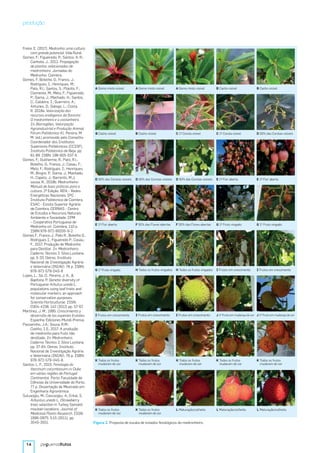 Revista Pequenos Frutos Pdf