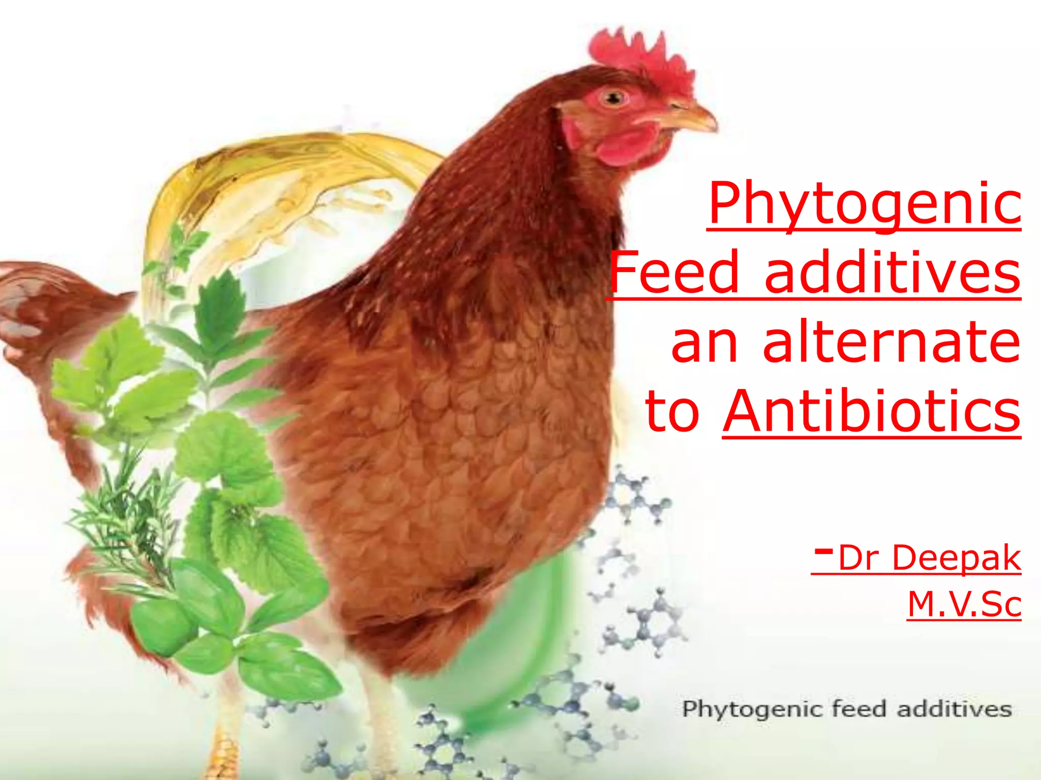 Phytogenic feed additives as an alternative to antibiotics in poultry ...