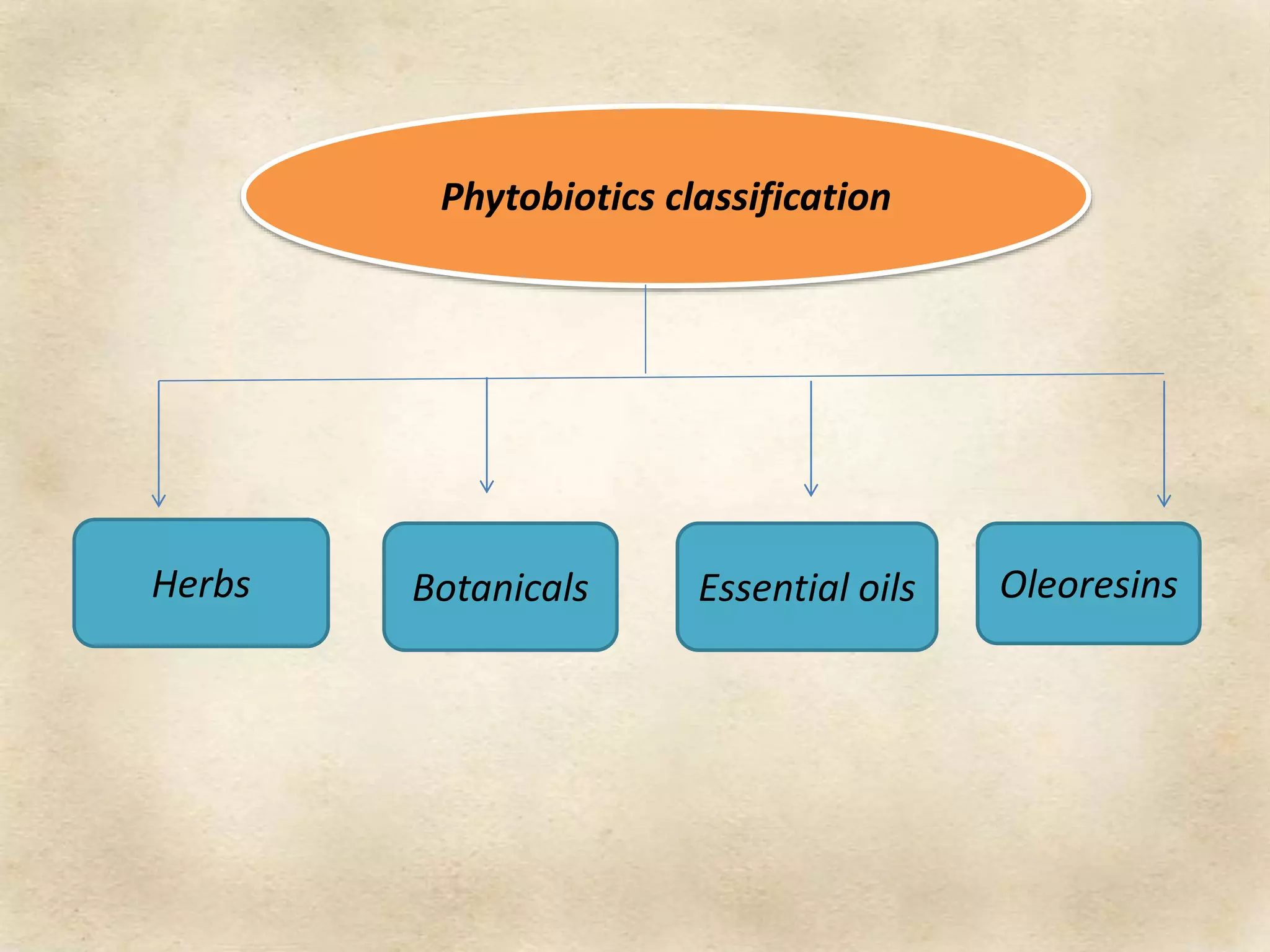 Phytogenic feed additives as an alternative to antibiotics in poultry ...