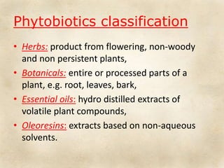 Phytogenic feed additives as an alternative to antibiotics in poultry ...