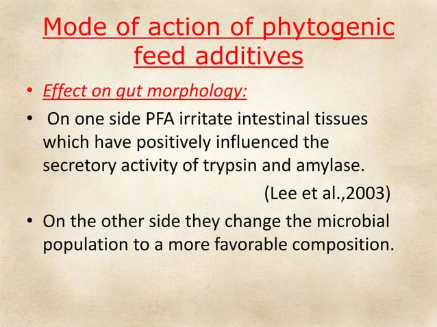 Phytogenic feed additives as an alternative to antibiotics in poultry ...