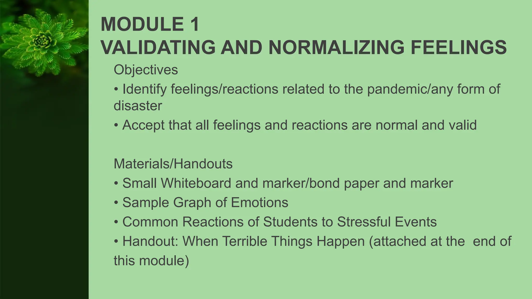 PFA-MODULE-1 - VALIDATING AND NORMALIZING FEELINGD.pptx