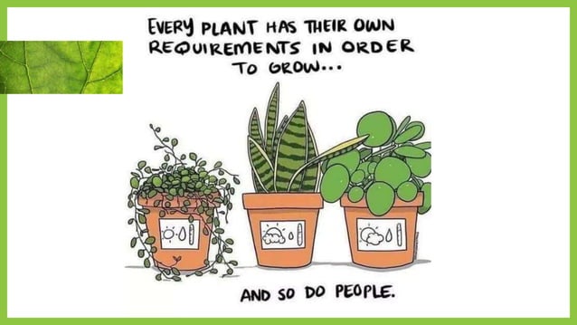 PFA-module-2-CALMING-DOWN-AND-CONTROLLING-ONES-EMOTIONS-Ellie-Pelayo.pptx