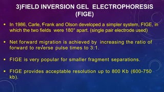 PULSE FIELD GEL ELECTROPHORESIS (PFGE) | PPTX