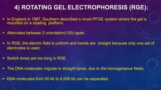 PULSE FIELD GEL ELECTROPHORESIS (PFGE) | PPTX