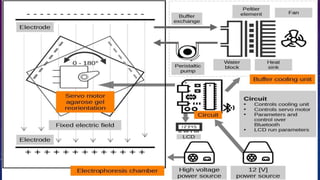 PULSE FIELD GEL ELECTROPHORESIS (PFGE) | PPTX