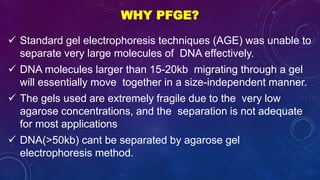 PULSE FIELD GEL ELECTROPHORESIS (PFGE) | PPTX
