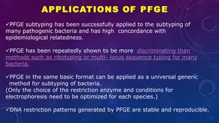 PULSE FIELD GEL ELECTROPHORESIS (PFGE) | PPTX