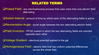 PULSE FIELD GEL ELECTROPHORESIS (PFGE) | PPTX