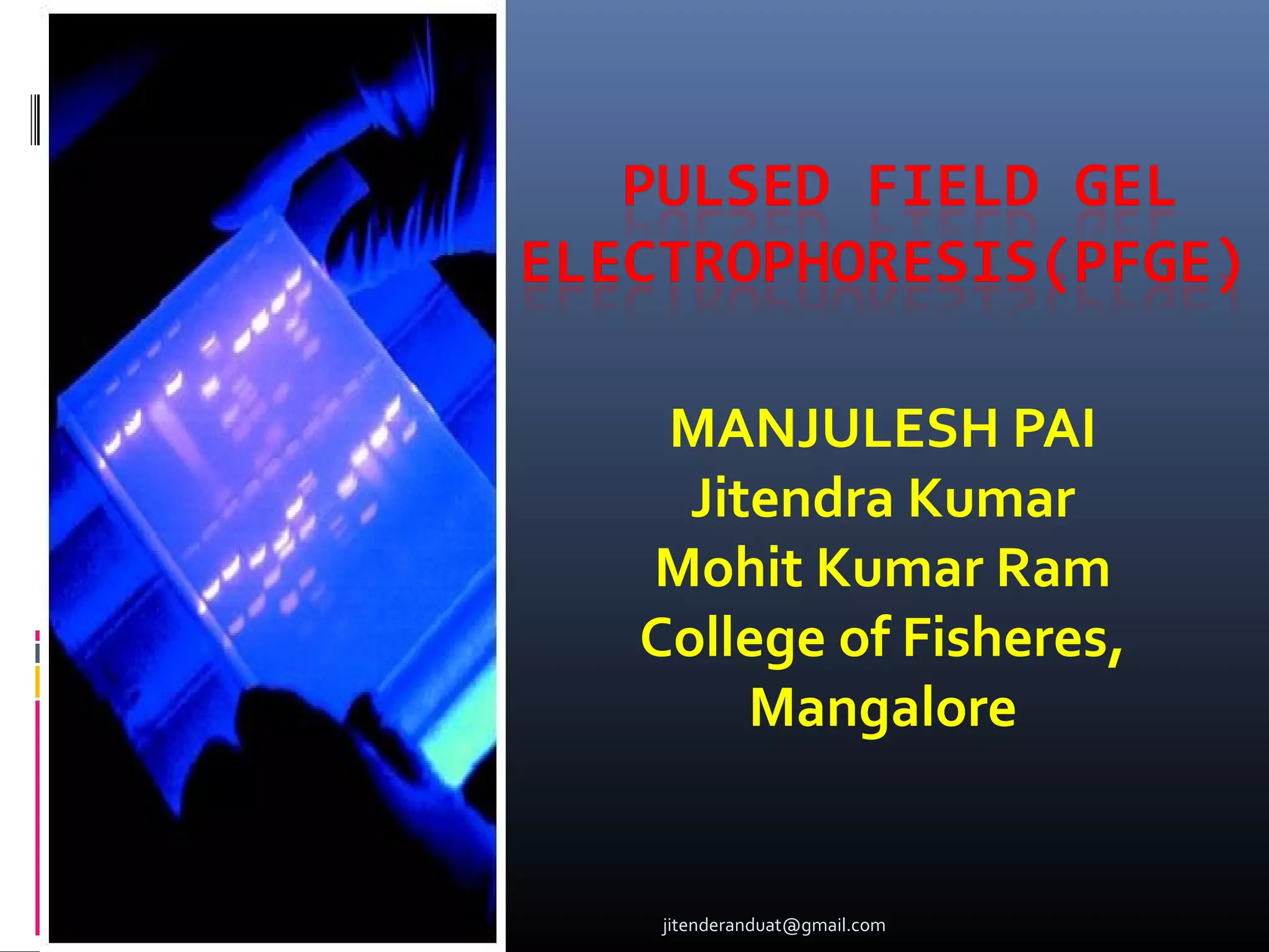 Pulsed field gel electrophoresis (PFGE) | PPT