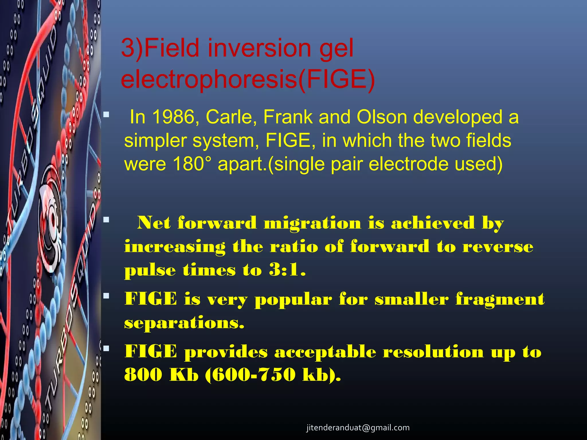 Pulsed field gel electrophoresis (PFGE) | PPT