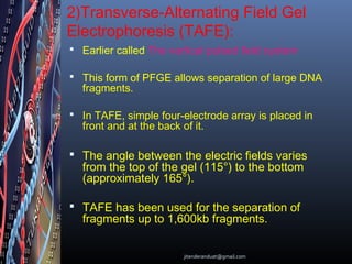 Pulsed field gel electrophoresis (PFGE) | PPT