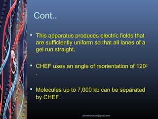 Pulsed field gel electrophoresis (PFGE) | PPT