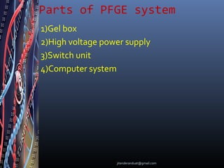 Pulsed field gel electrophoresis (PFGE) | PPT