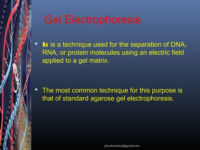 Pulsed field gel electrophoresis (PFGE) | PPT | Genetics | Science