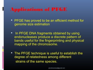 Pulsed field gel electrophoresis (PFGE) | PPT