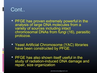 Pulsed field gel electrophoresis (PFGE) | PPT