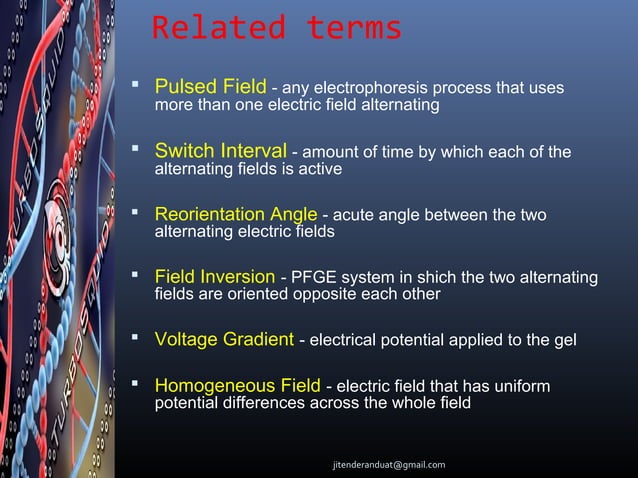 Pulsed field gel electrophoresis (PFGE) | PPT | Genetics | Science