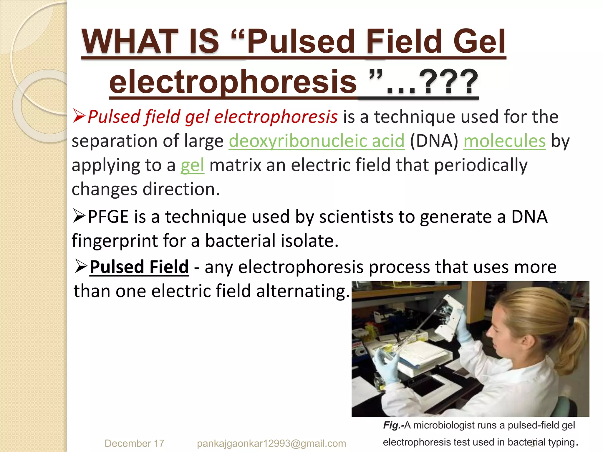 Pulse Field Gel Electrophoresis | PPTX