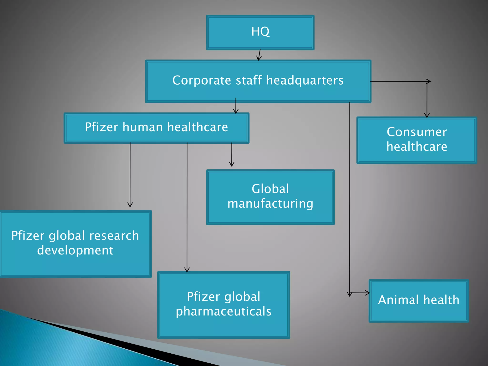 Pfizer | PPTX | Human Resources | Business