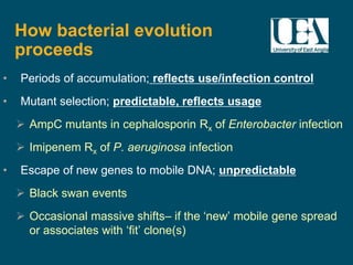 Pfizer Black Swan 2019 2 (002).pptx | Infectious Diseases | Diseases ...