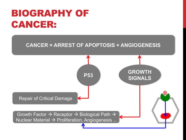 Introduction to Targeted Therapies in Oncology | PPTX