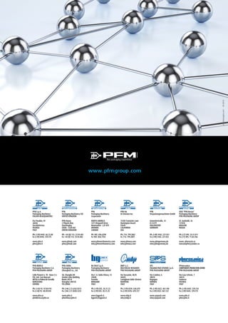 PFM Group Packaging Solutions | PDF